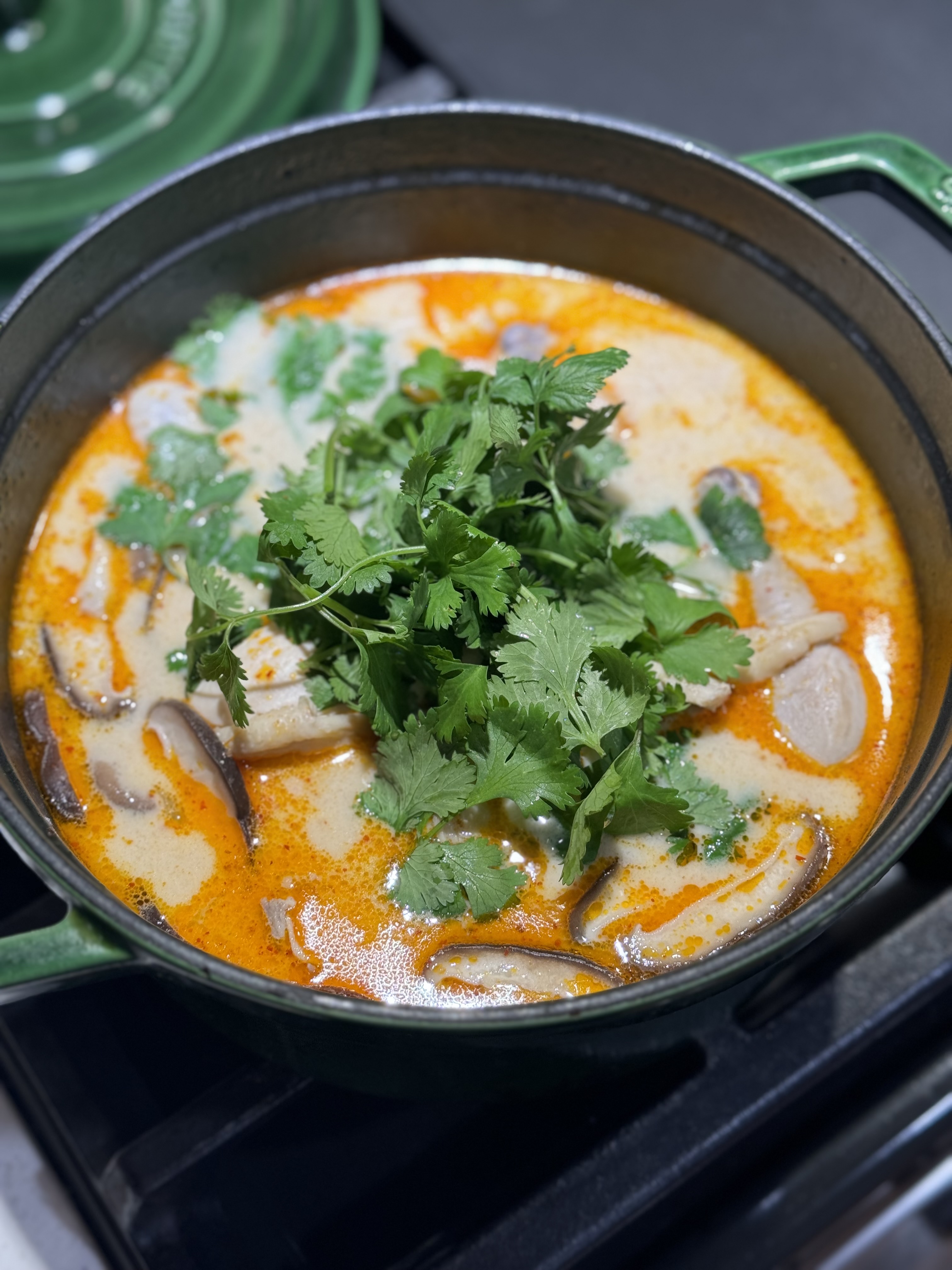 Tom Kha Gai (Thai Chicken Coconut Soup) – Cooking For Family & Friends
